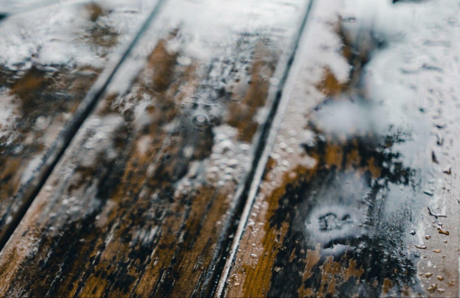 What’s the Ideal Humidity in Florida Homes? | One Way Air FL